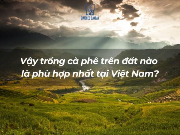 Vai trò của đất trồng đối với cây cà phê là gì